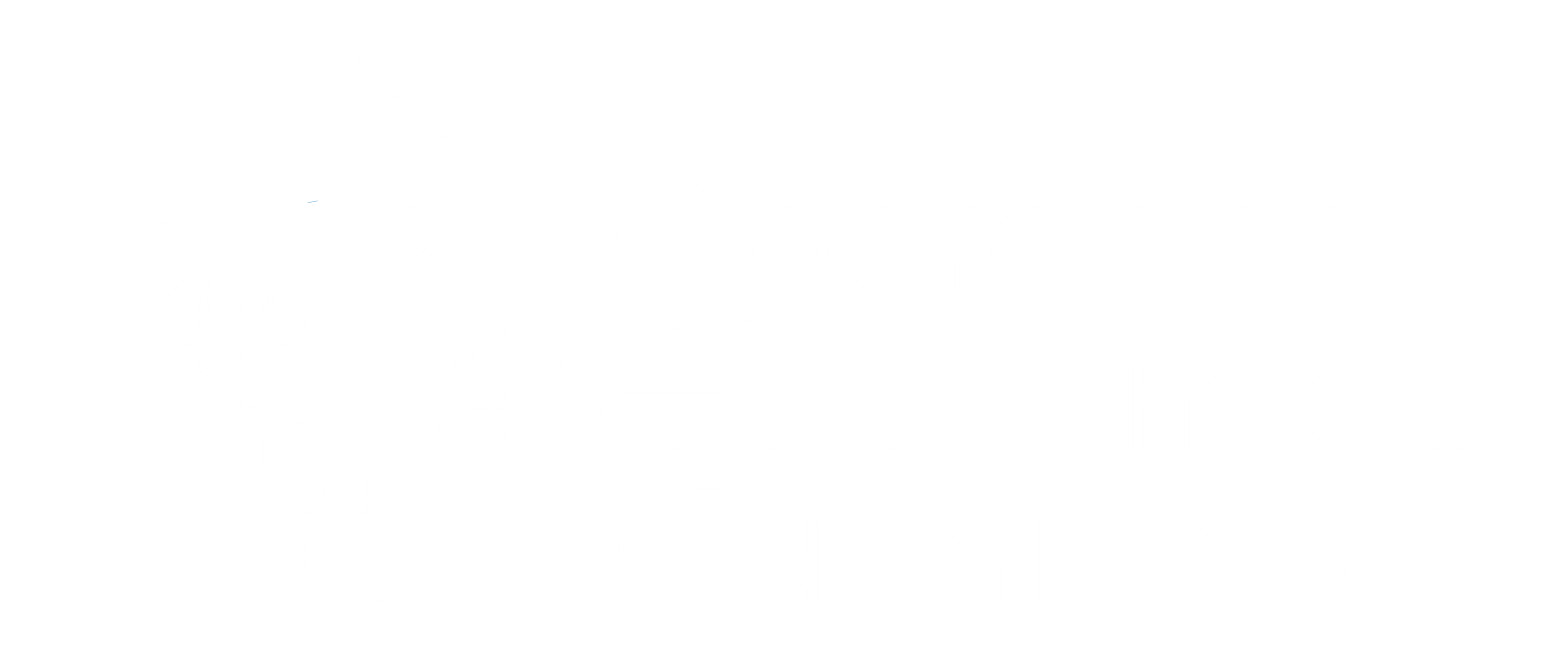 Estadísticas OEA - SUNAT